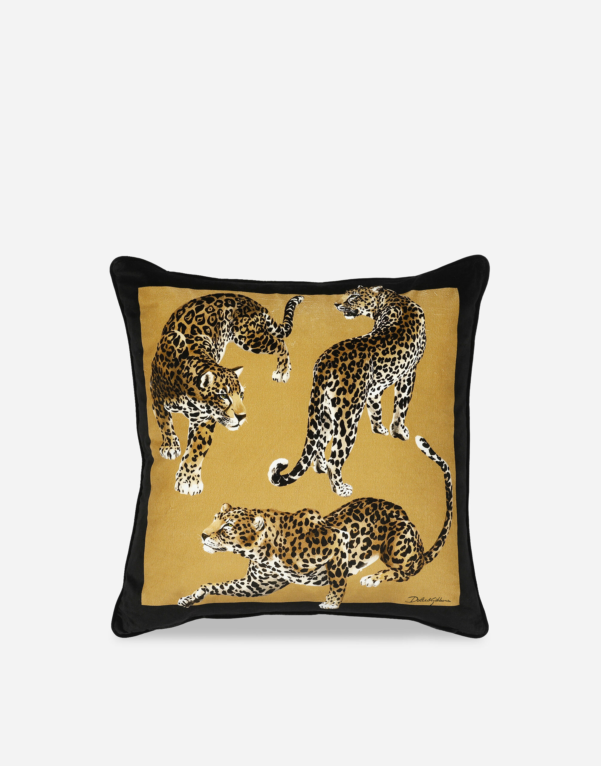 Decorative pillows living room | Dolce&Gabbana®